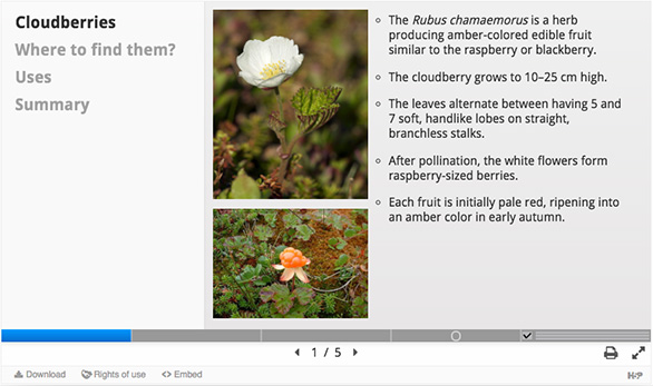 Home | TRIUMPH CLOUD Content